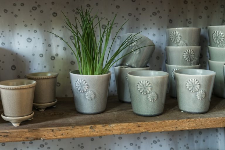 Dekoration – Gärtnerei Peter Hommel – Gartenpflanzen, Zimmerpflanzen