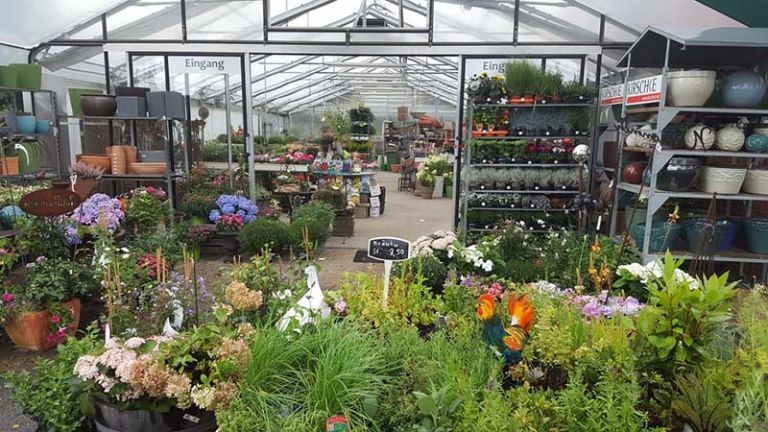 Kontakt – Gärtnerei Peter Hommel – Gartenpflanzen, Zimmerpflanzen